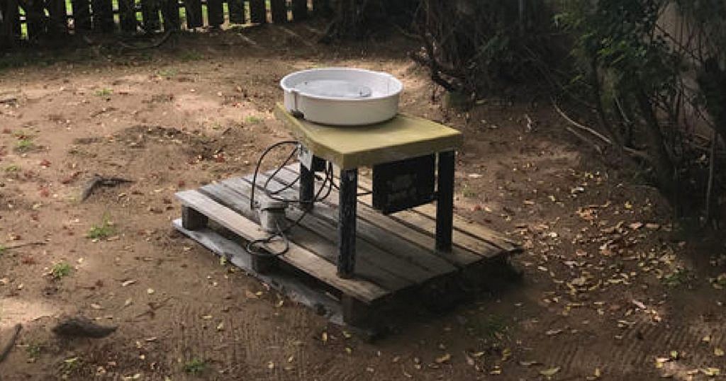 Tiny Home Living, Made Possible With Dolly | Dolly Blog