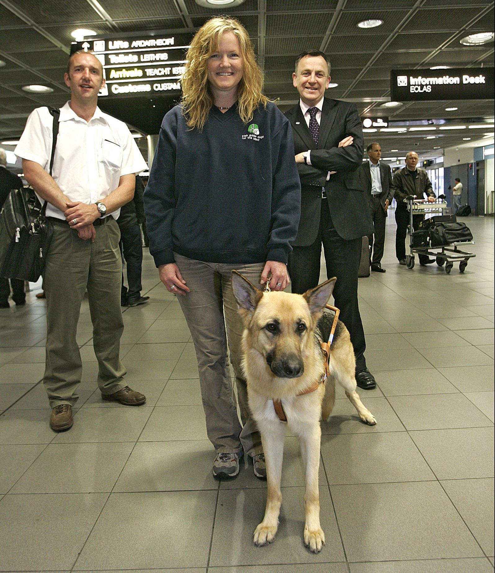 A Tail-Wagging Good Time: Moving Out Made Easy with Dolly | Dolly Blog